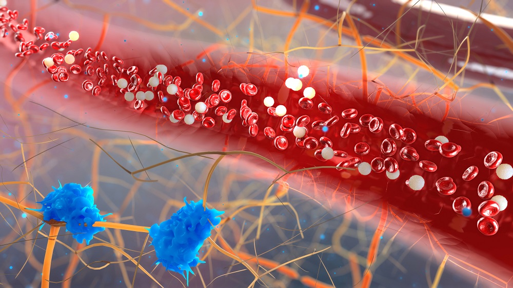 The body’s “glucostat” identified | Karolinska Institutet
