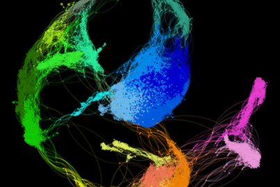 Protein map using new method of analysis shared in open database ...