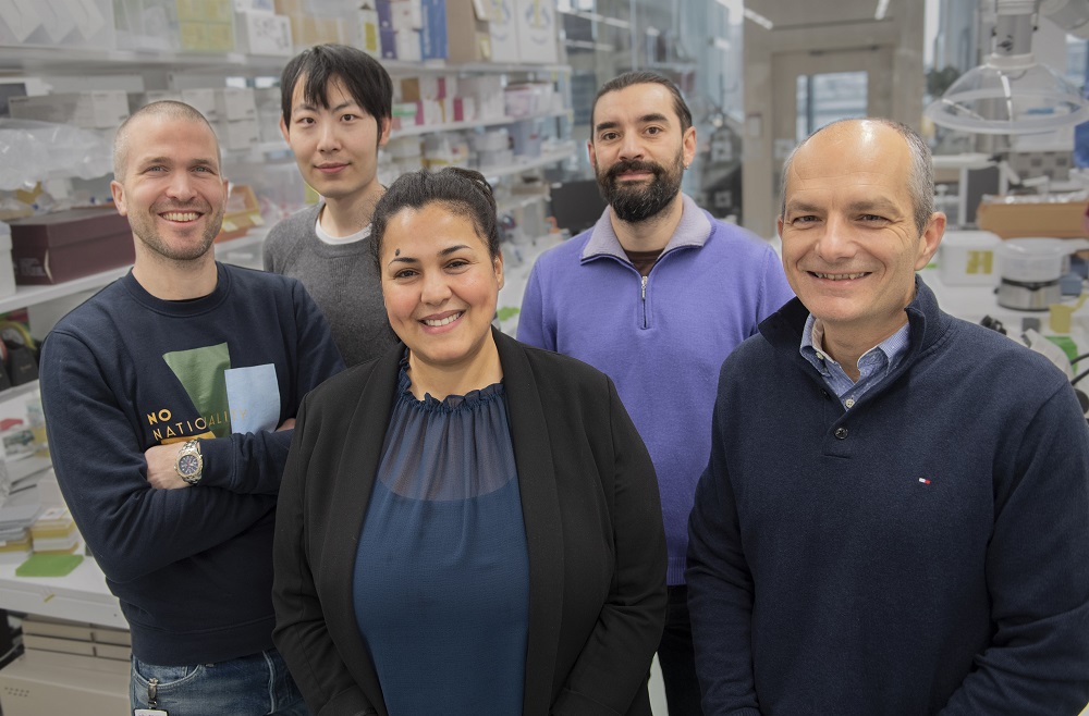 Newly discovered molecule promising for pain sufferers | Karolinska ...