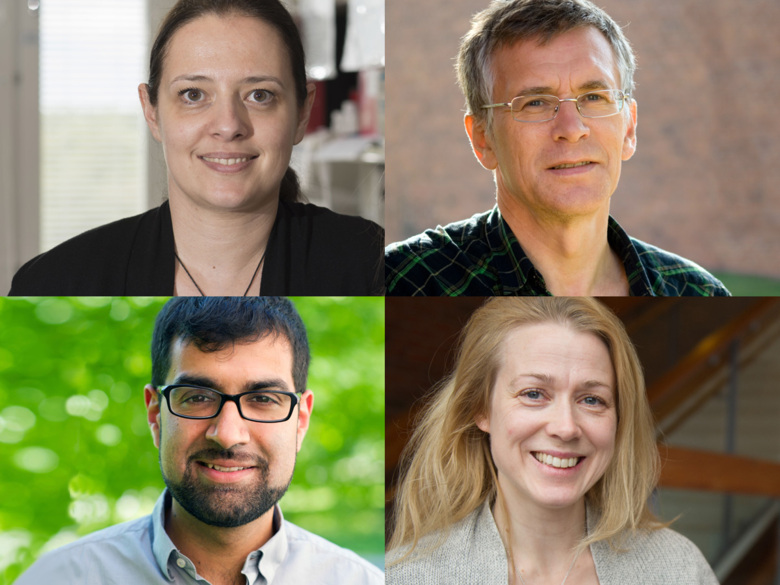 Close to 135 million in KAW project funding | Karolinska Institutet