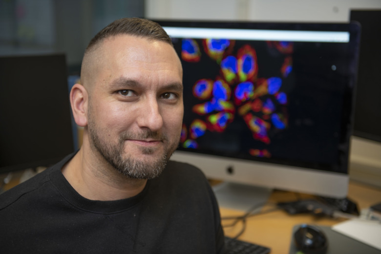 ERC grant for research on synthetic nanoparticles | Karolinska Institutet