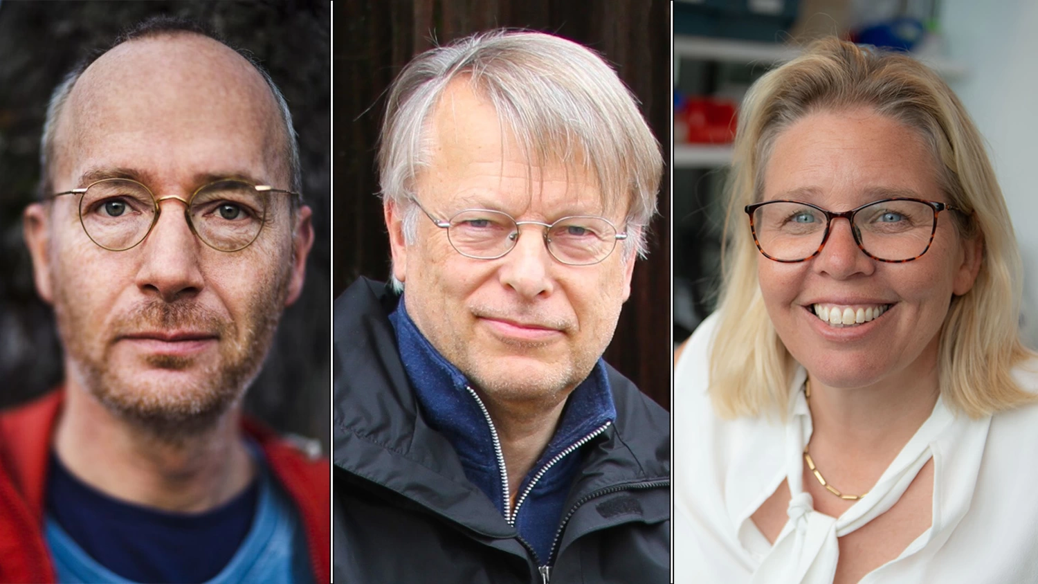 KI researchers awarded in the spirit of Arvid Carlsson | Karolinska ...