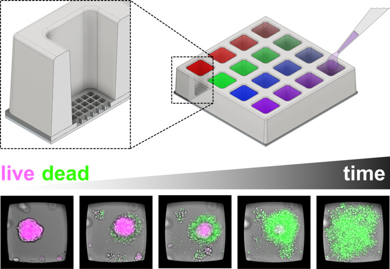 New microchip with specifications for screening and high-resolution ...