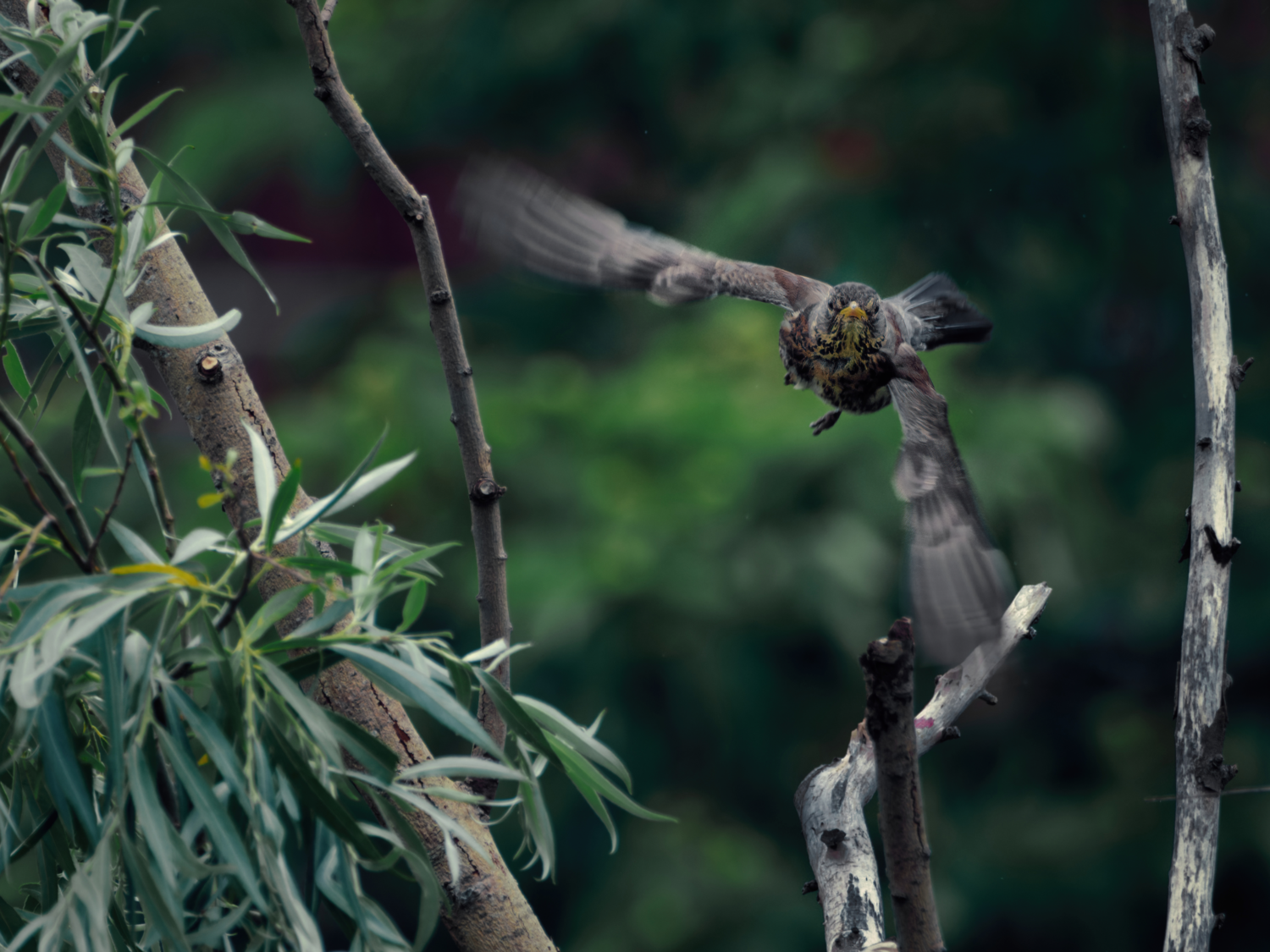 MEB summer photo exhibition 2025 | Karolinska Institutet