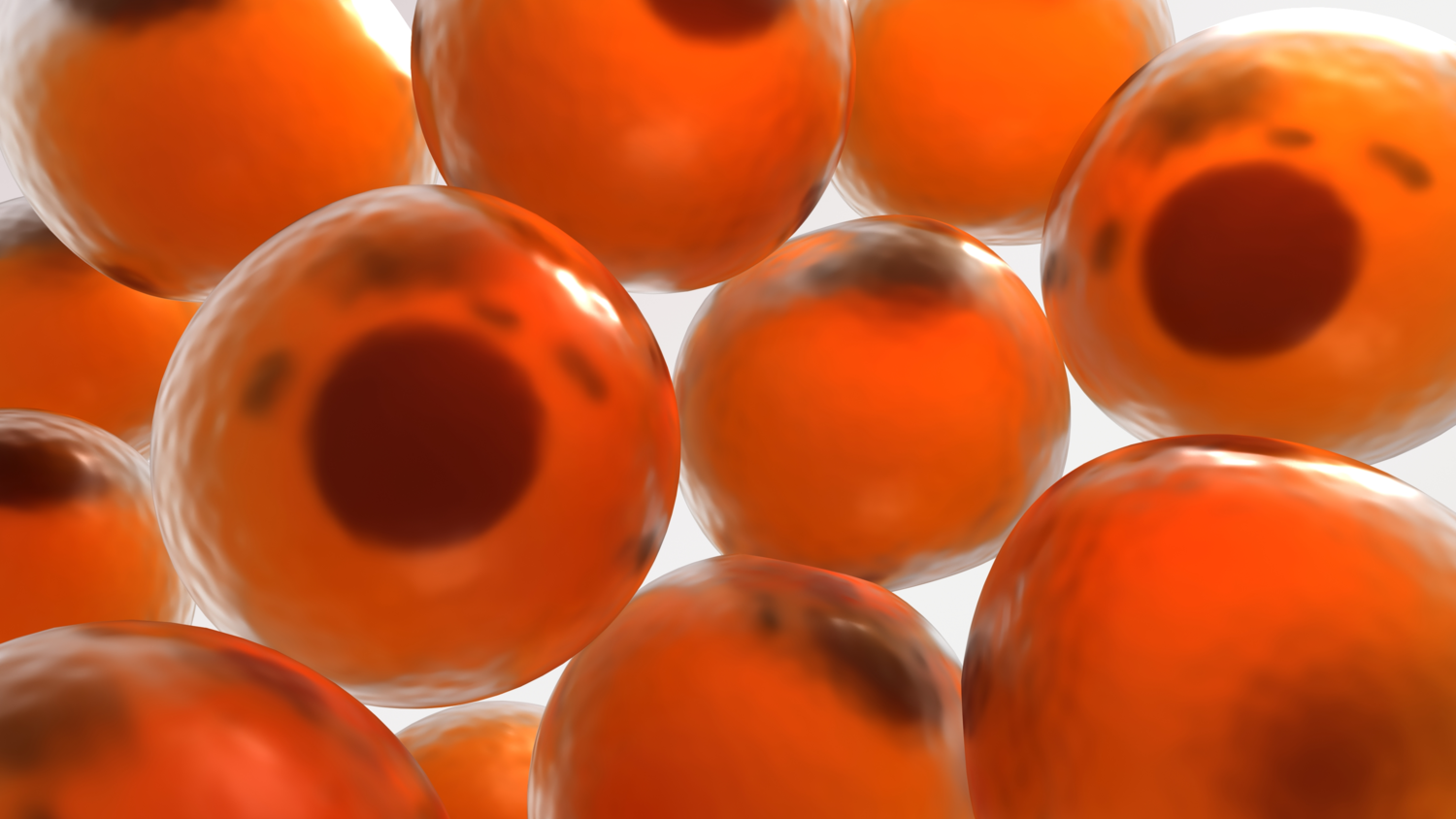 Fat surrounding the colon interacts with the immune system | Karolinska ...