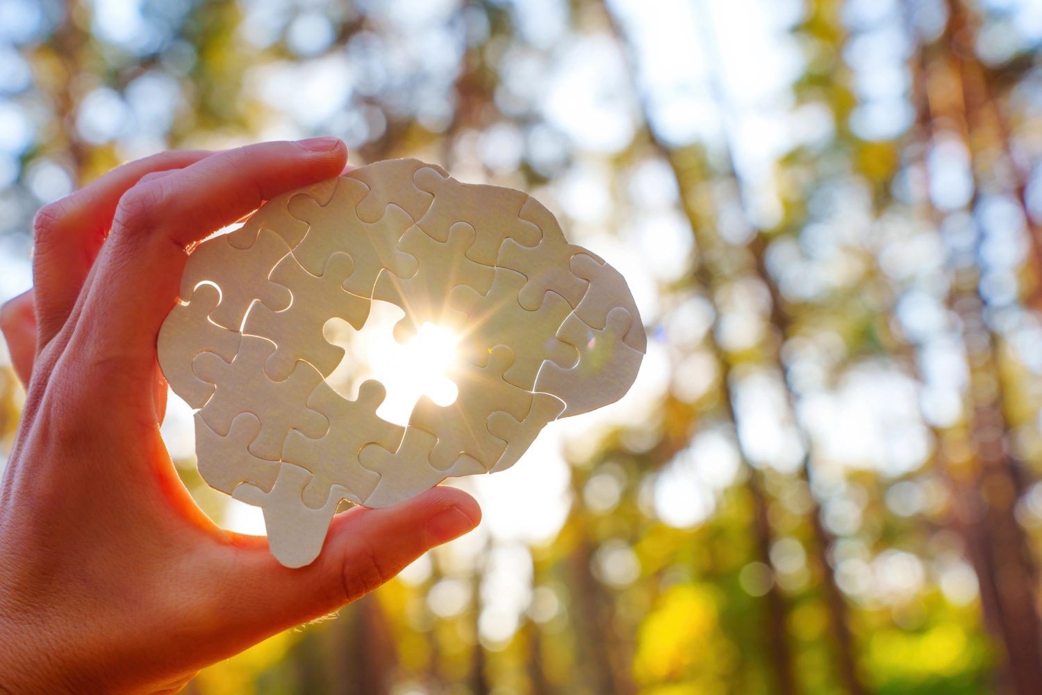Self-Admission Boosts Psychiatric Patients' Security | Mirage News