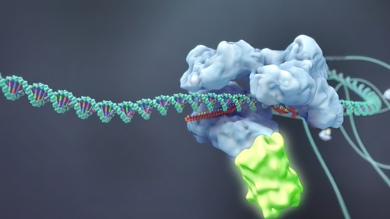 New technology maps where and how cells read their genome | Karolinska ...