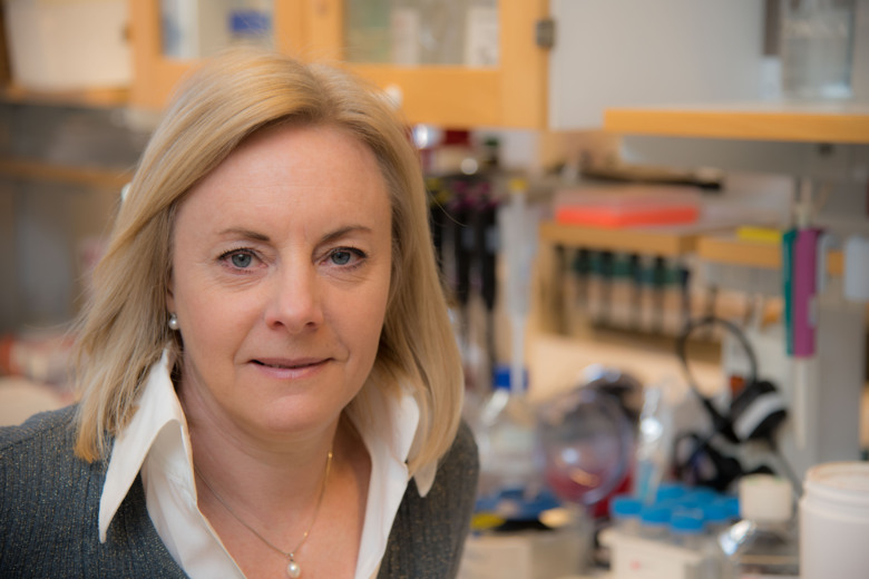 Gunilla Karlsson Hedestam new member of The Royal Swedish Academy of ...