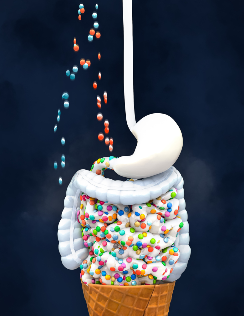 New fundamental knowledge of the “abdominal brain” | Karolinska Institutet