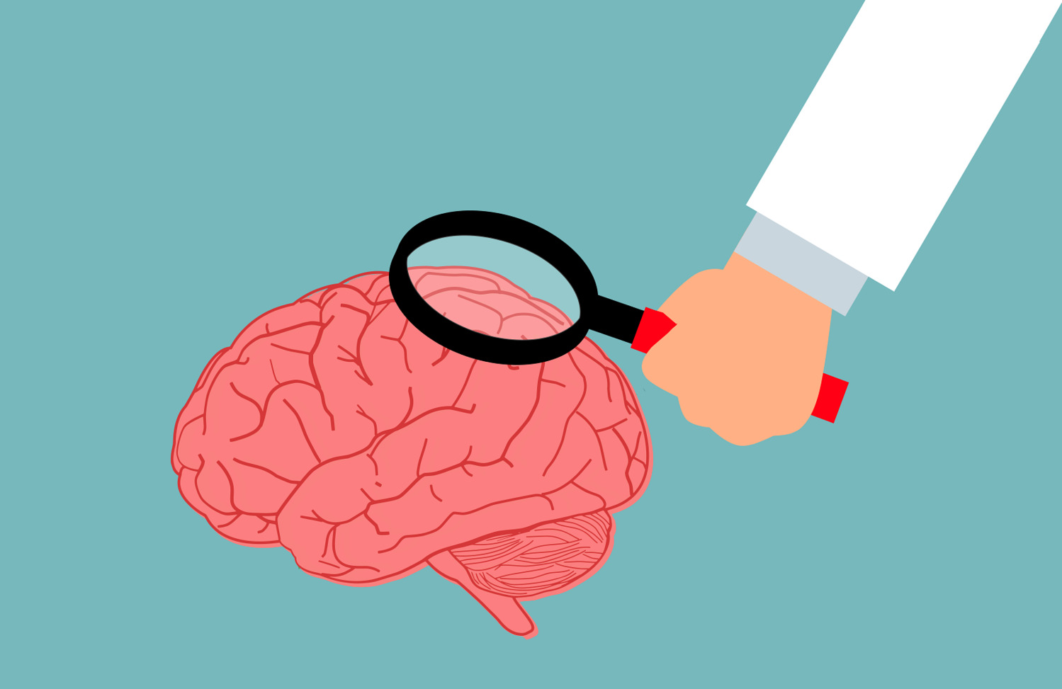 KI researchers receive funding from the Swedish Brain Foundation for ...