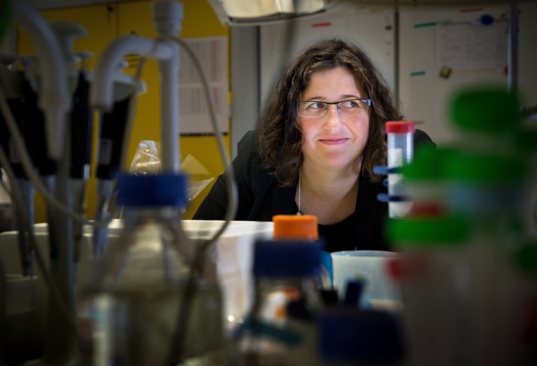 New understanding of RNA movements can be used to treat cancer ...