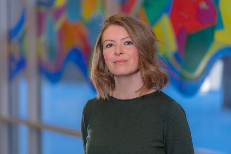 Endothelial proteins in plasma could reflect vascular health status ...