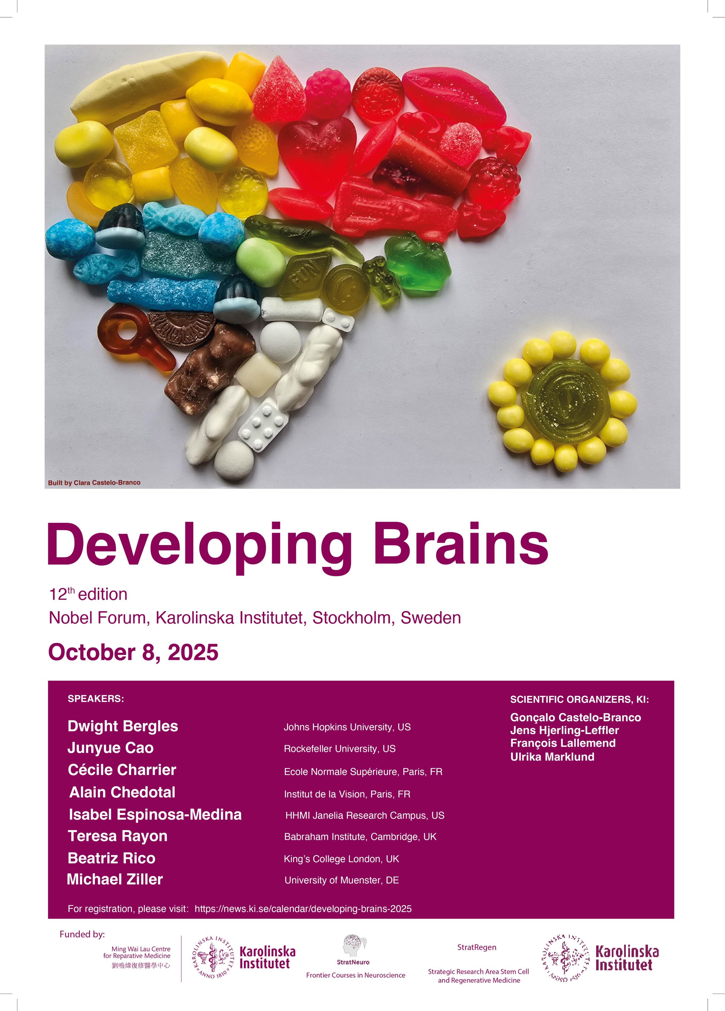 Developing Brains 2025 | Karolinska Institutet