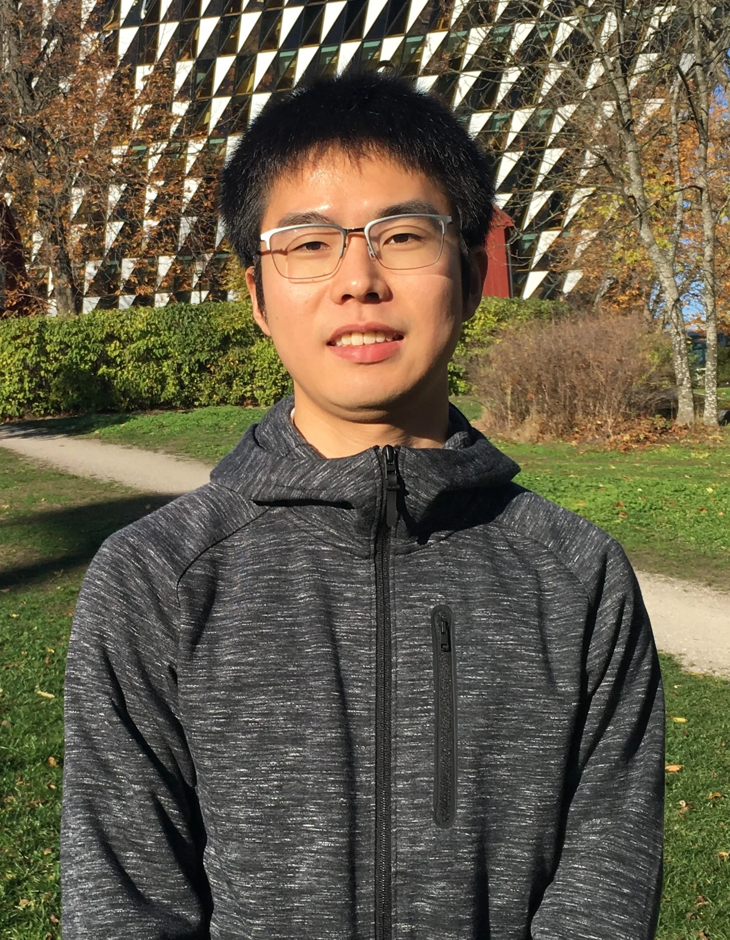 IMM thesis: Impact of air pollution exposure in children and young ...