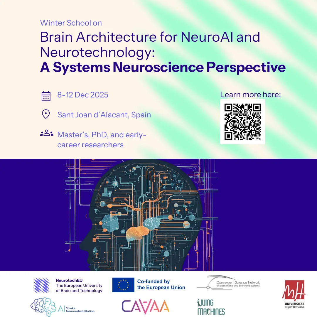 Winter School on Brain Architecture for NeuroAI and Neurotechnology: A ...