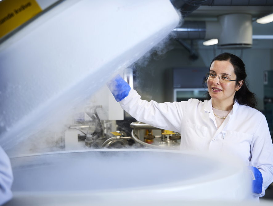 KI Biobank turns 20: “A goldmine for researchers” | Karolinska Institutet
