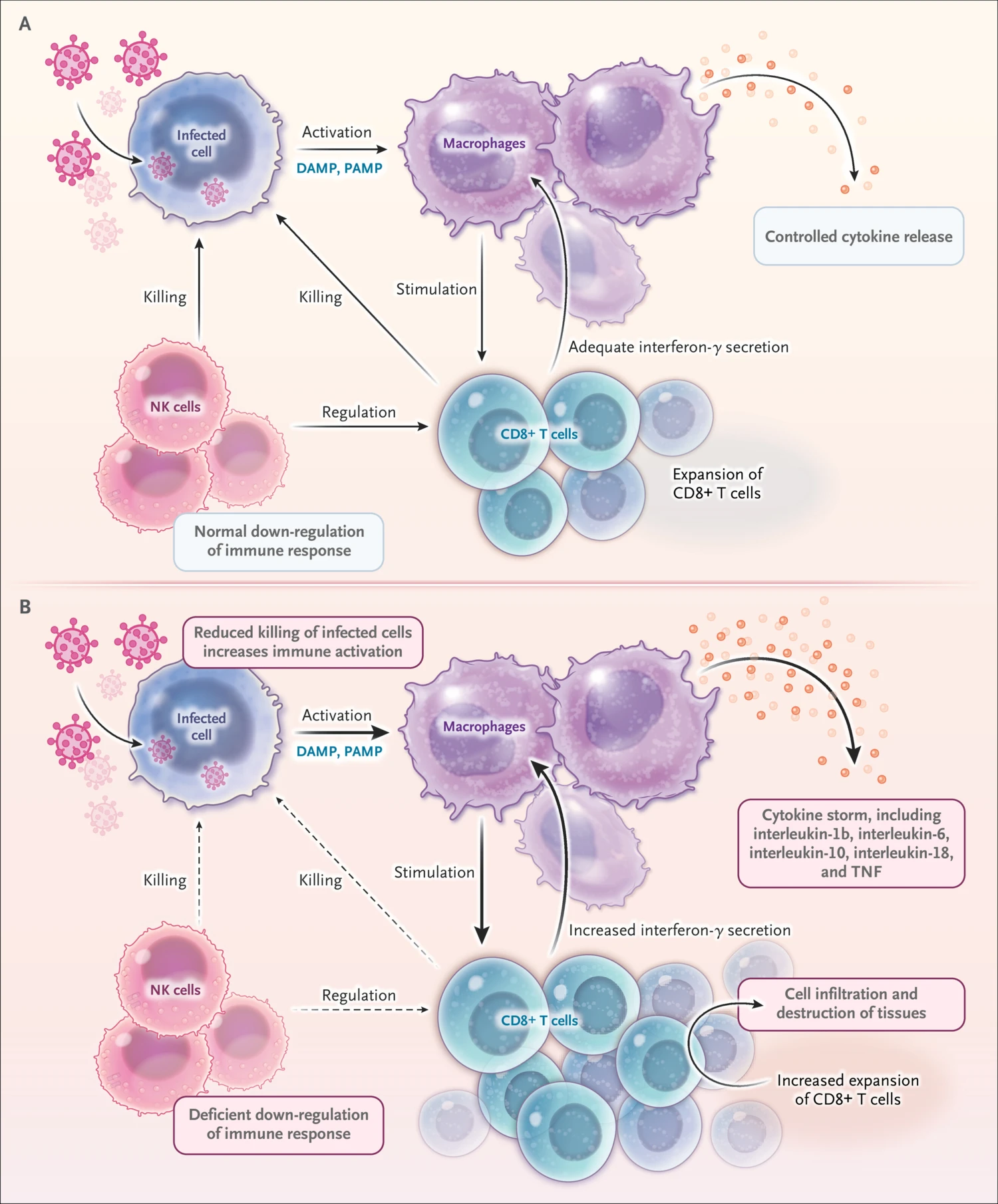 Increased knowledge about hemophagocytic lymphohistiocytosis can save ...