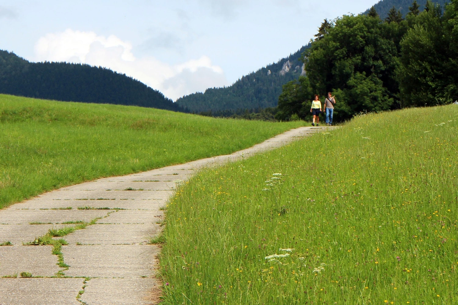 Sex Education Shape Physical Activity Patterns Mirage News