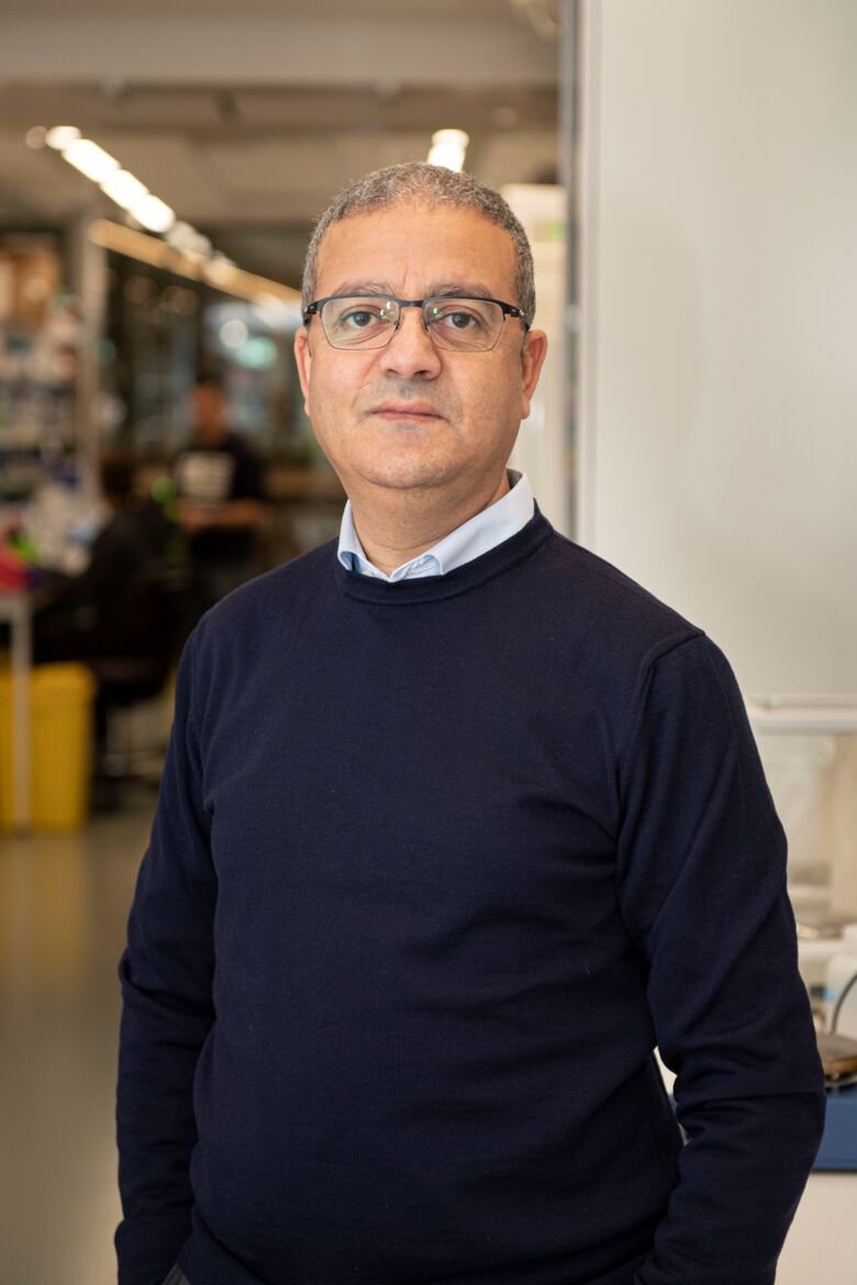 Molecular blueprint of circuits governing locomotor speed | Karolinska ...