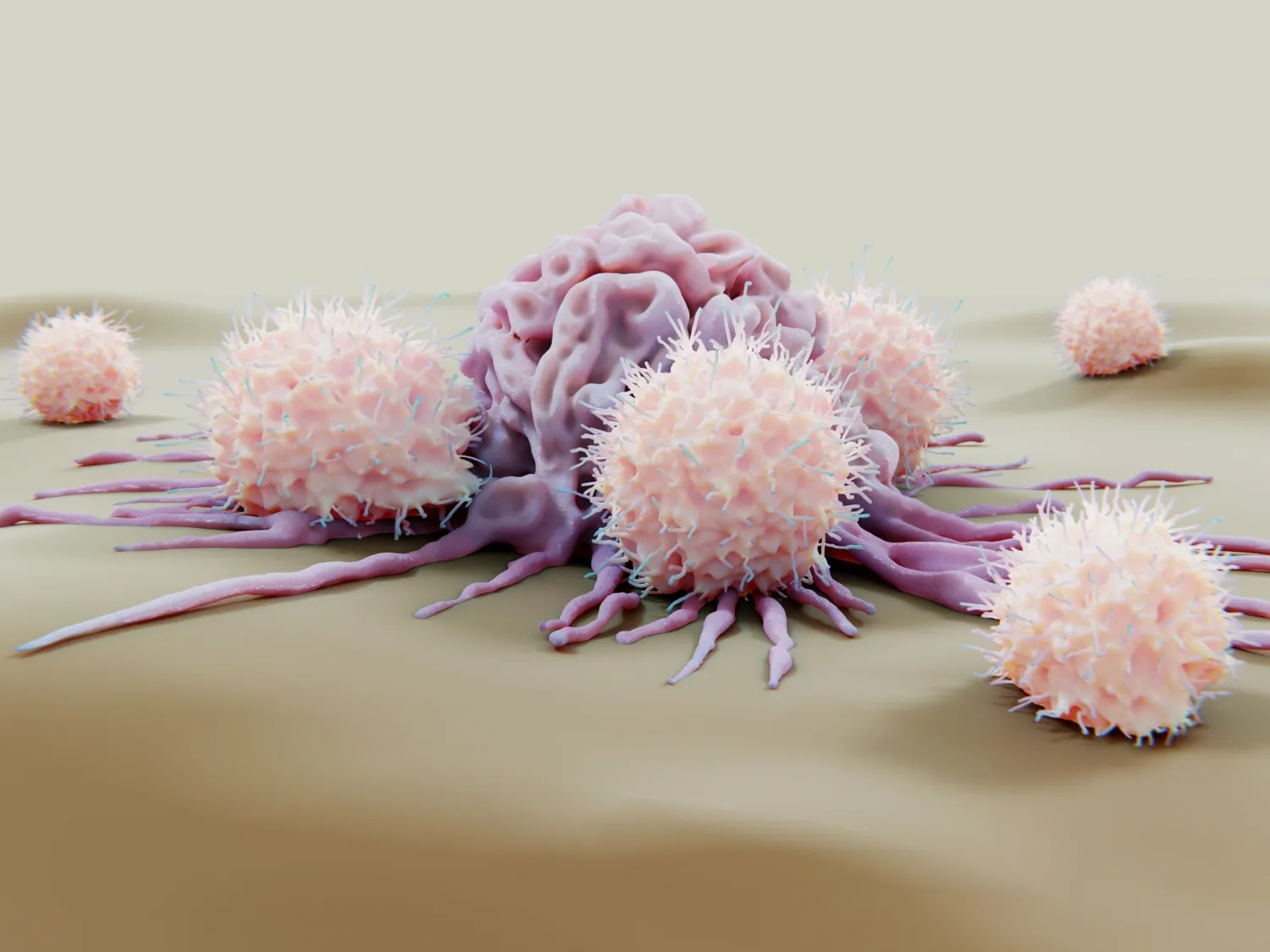 Natural killer cells remember and effectively target ovarian cancer ...