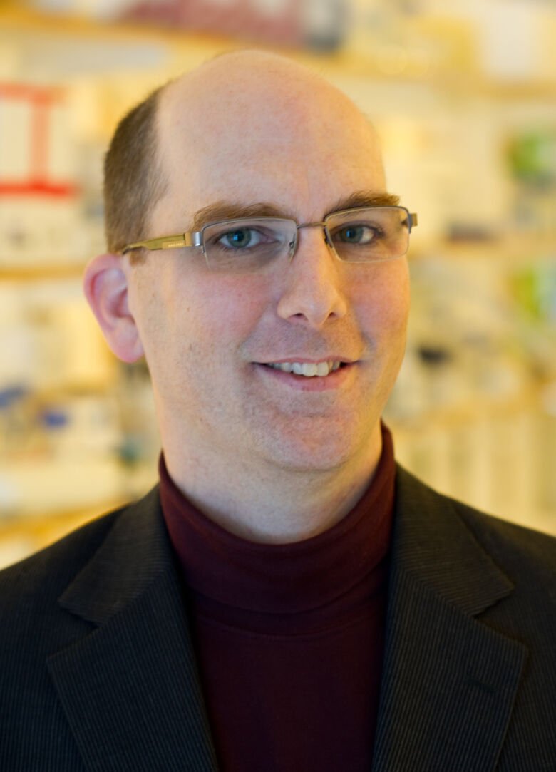 Swedish Research Council grants awarded to researchers at the ...